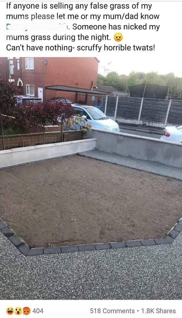 Who Stole The Grass? | Scrolller