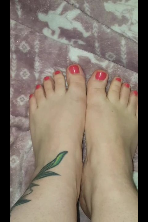 Who wants to see these little toes in action? | Scrolller