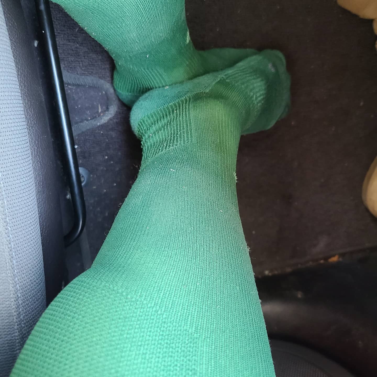 Who Wants To Sniff My Stinky Feet Scrolller