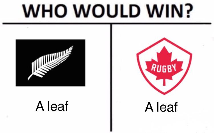 Who would win? | Scrolller