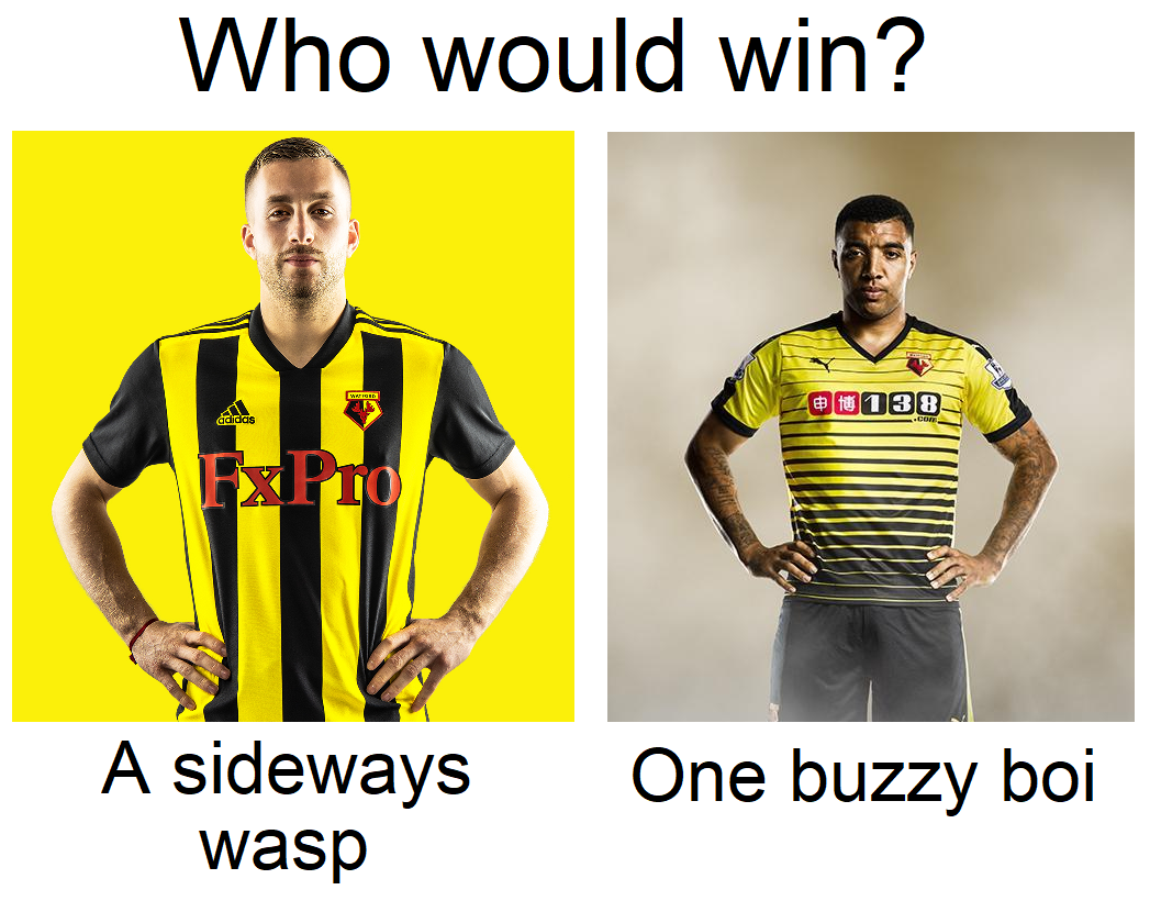Who would win - new kit edition | Scrolller