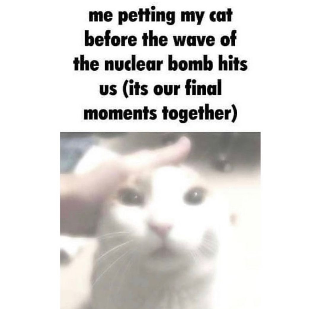 Wholesome 300 | Scrolller