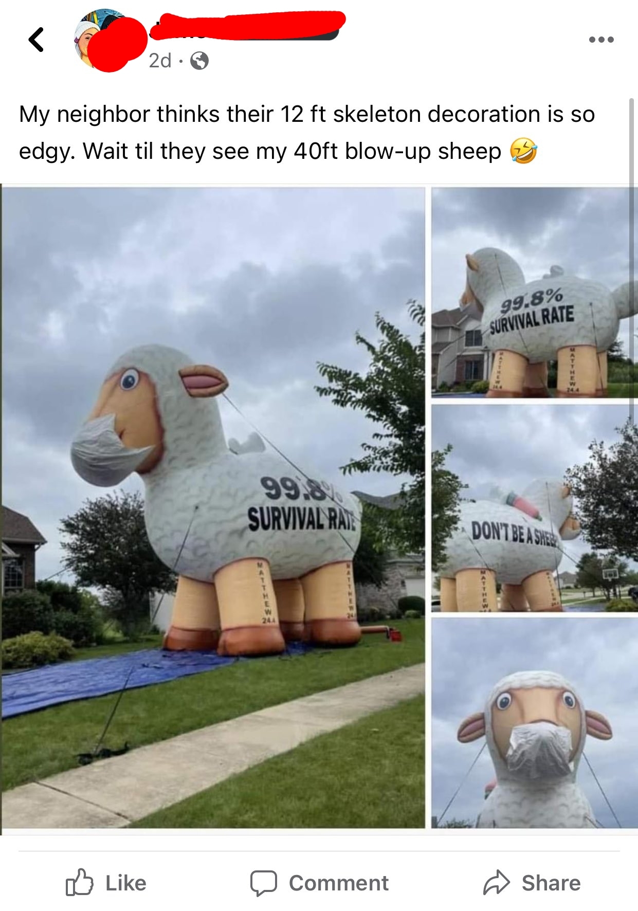 Sheeple🙄 | Scrolller