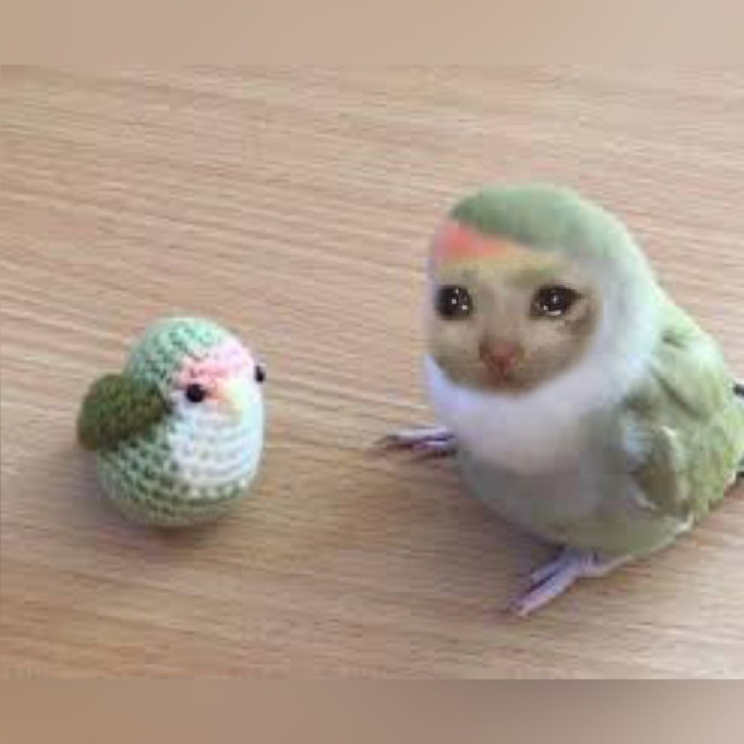 Who's this imposter ? | Scrolller