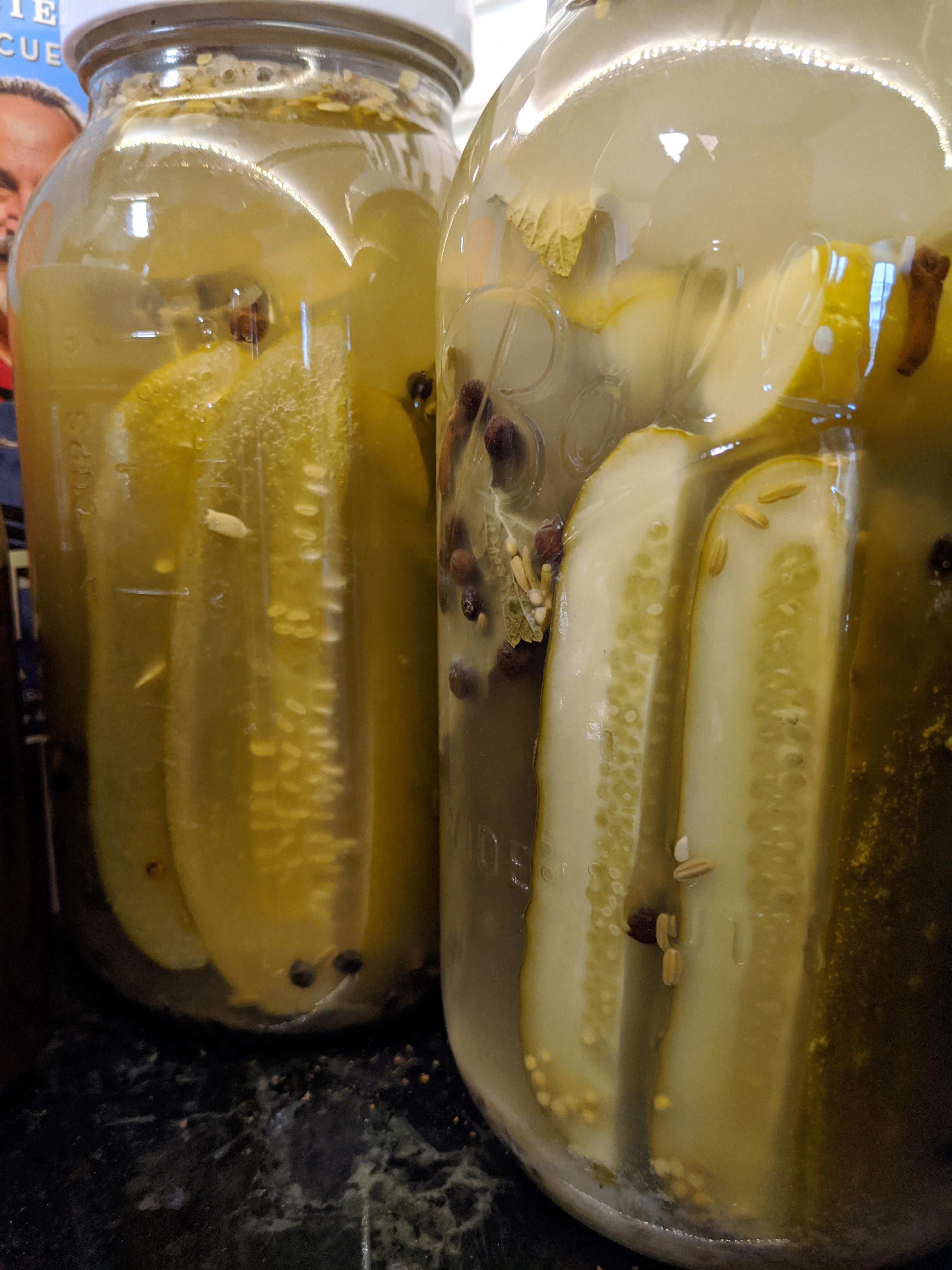 Why are some of my pickles so translucent? | Scrolller