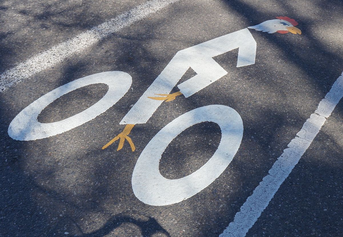 Why did the chicken cross the road? | Scrolller