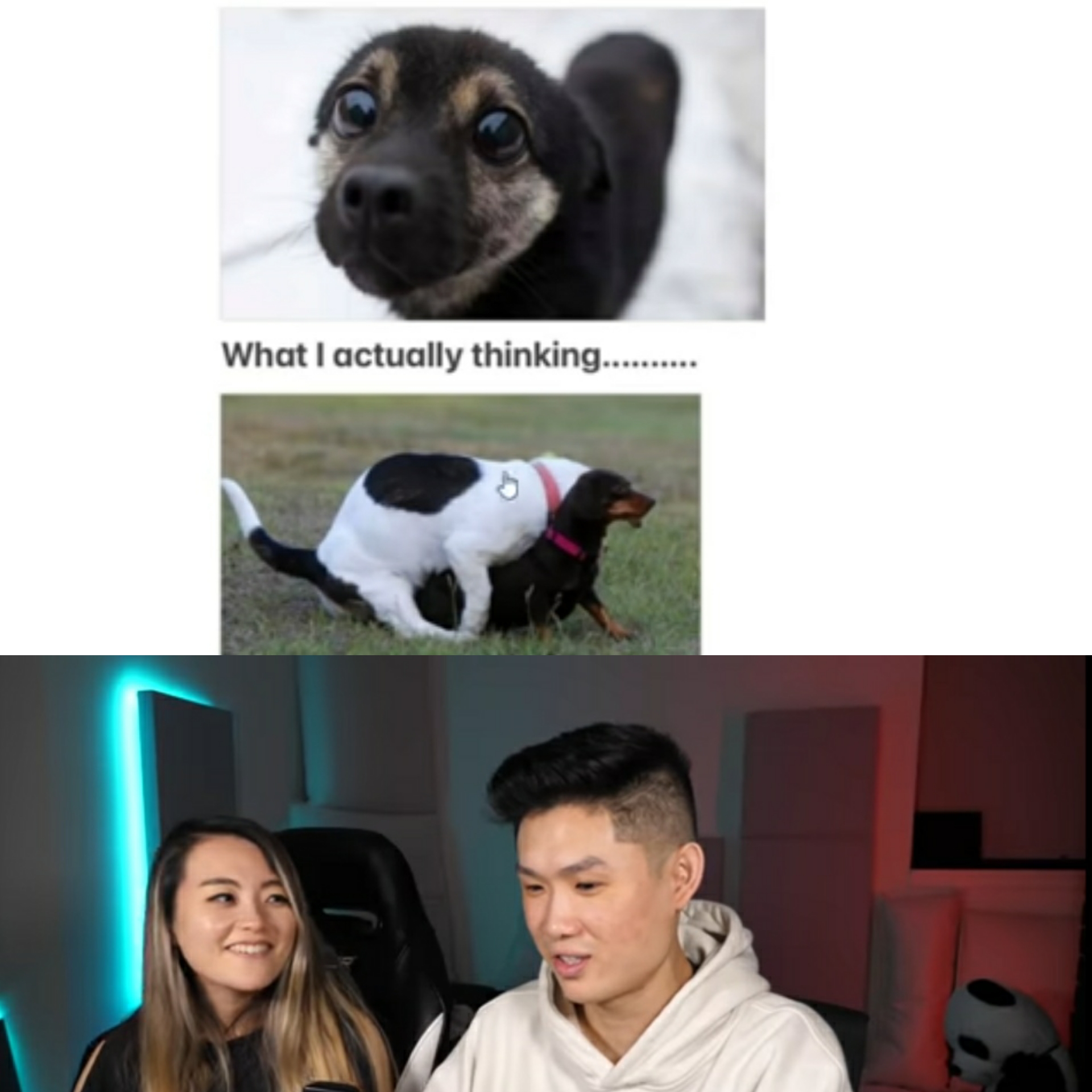 Why do I see a similarity here 🤔 | Scrolller