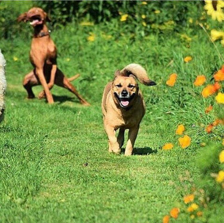 Why does someone always photo bomb me | Scrolller