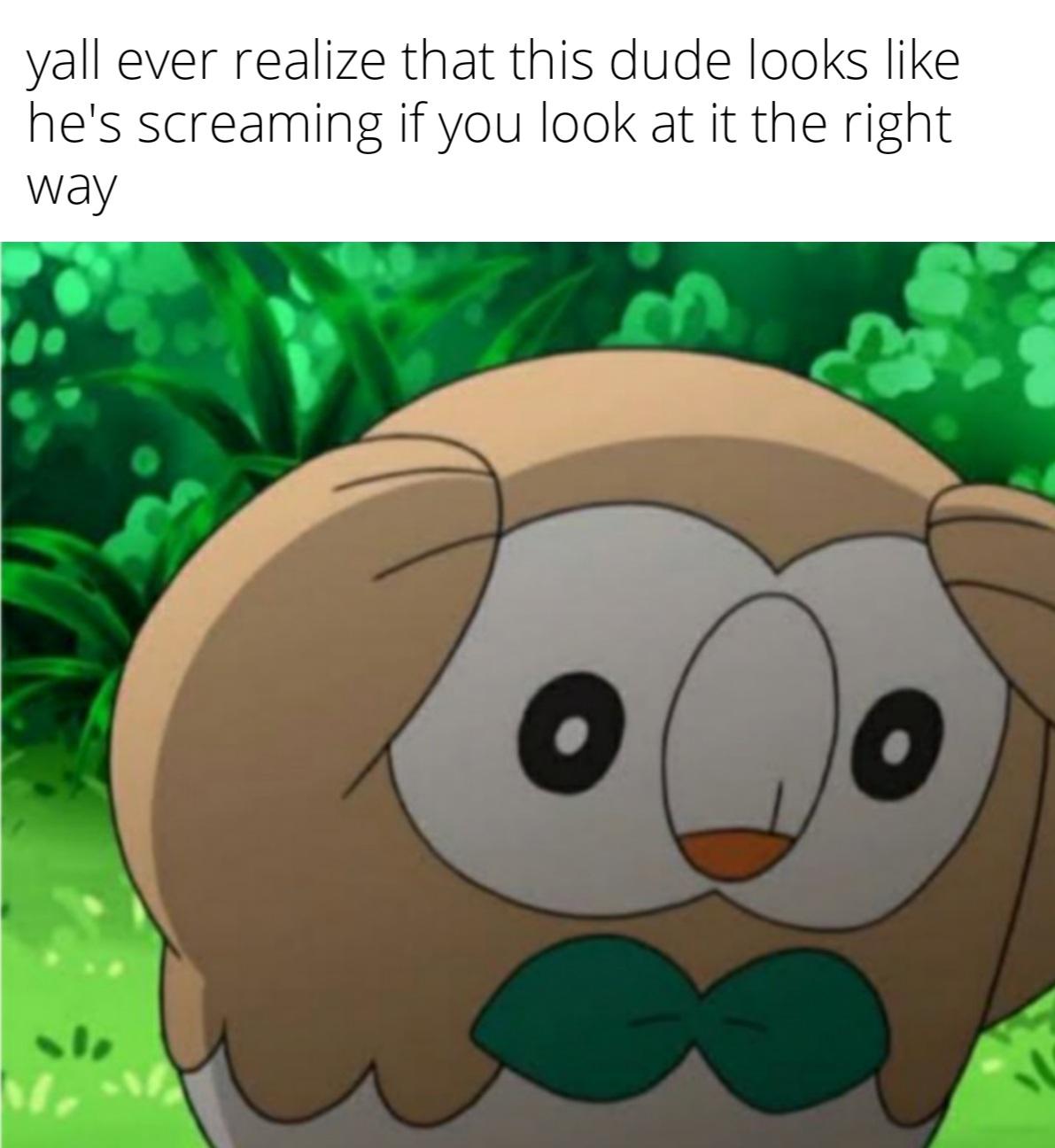 Why is he screaming | Scrolller