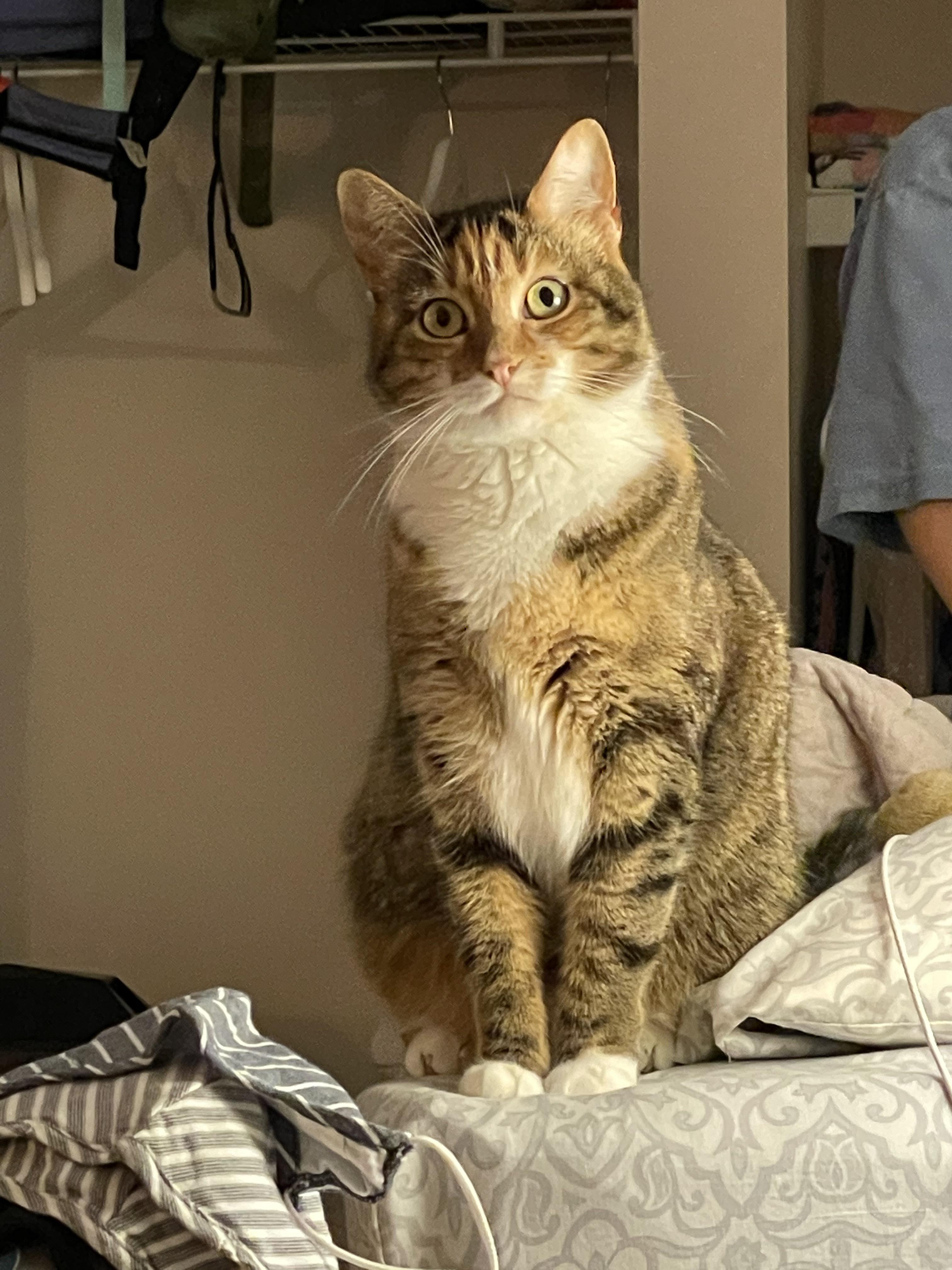 wide-eyed bean | Scrolller