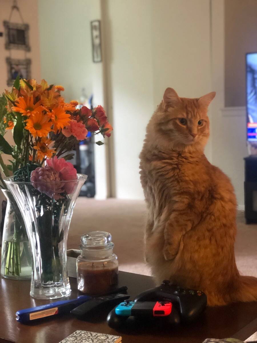 Wiley was smelling the flowers | Scrolller