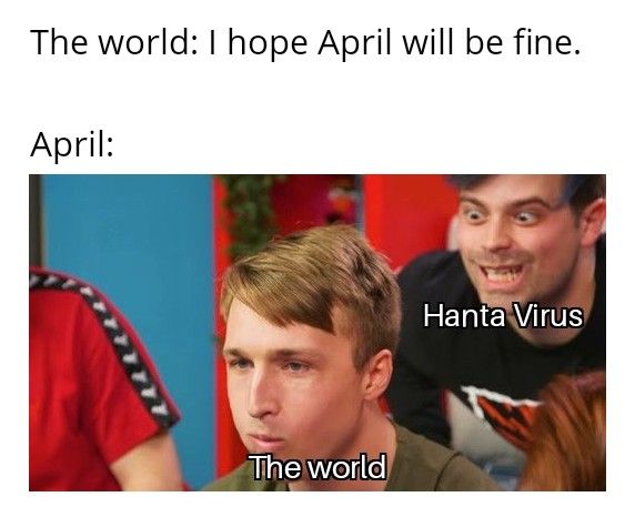 Will we survive 2020? | Scrolller