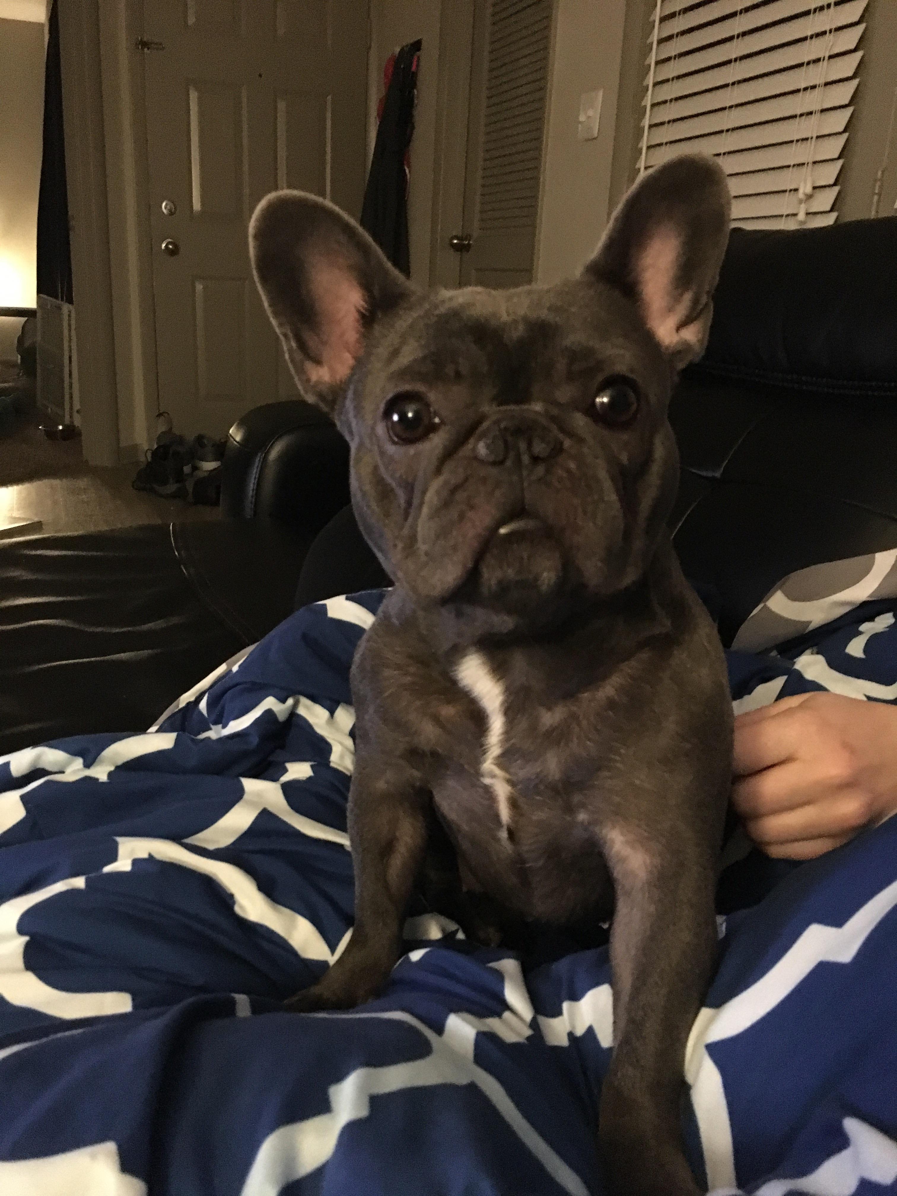 “Will you please stay in tonight dad” | Scrolller