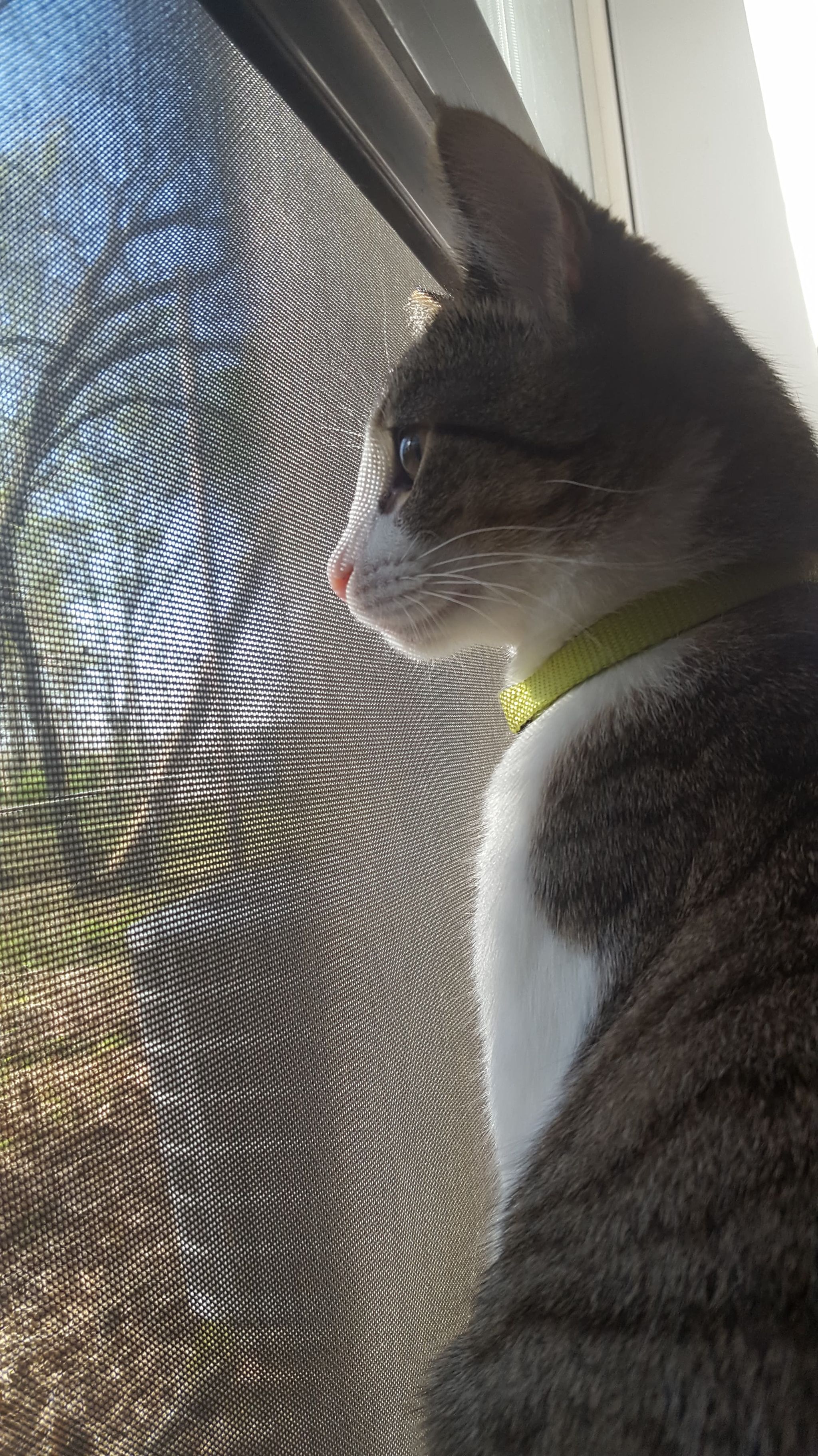 Window time! | Scrolller