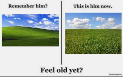 Windows XP hill, you'll be remembered | Scrolller