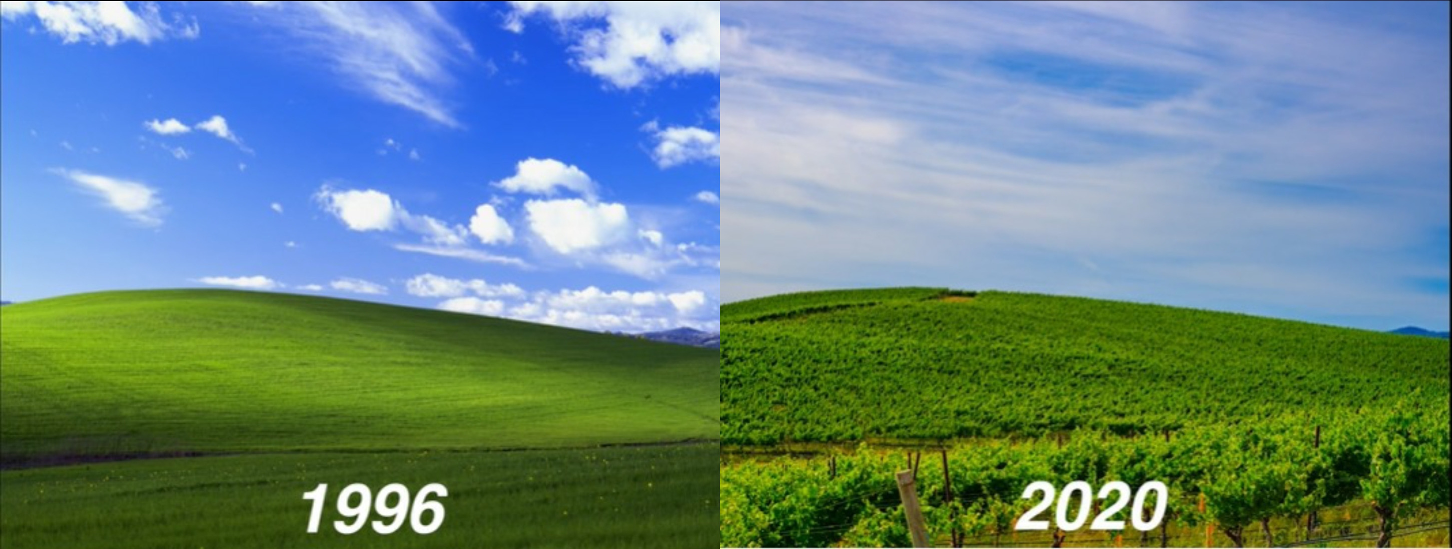 Windows XP Wallpaper today | Scrolller