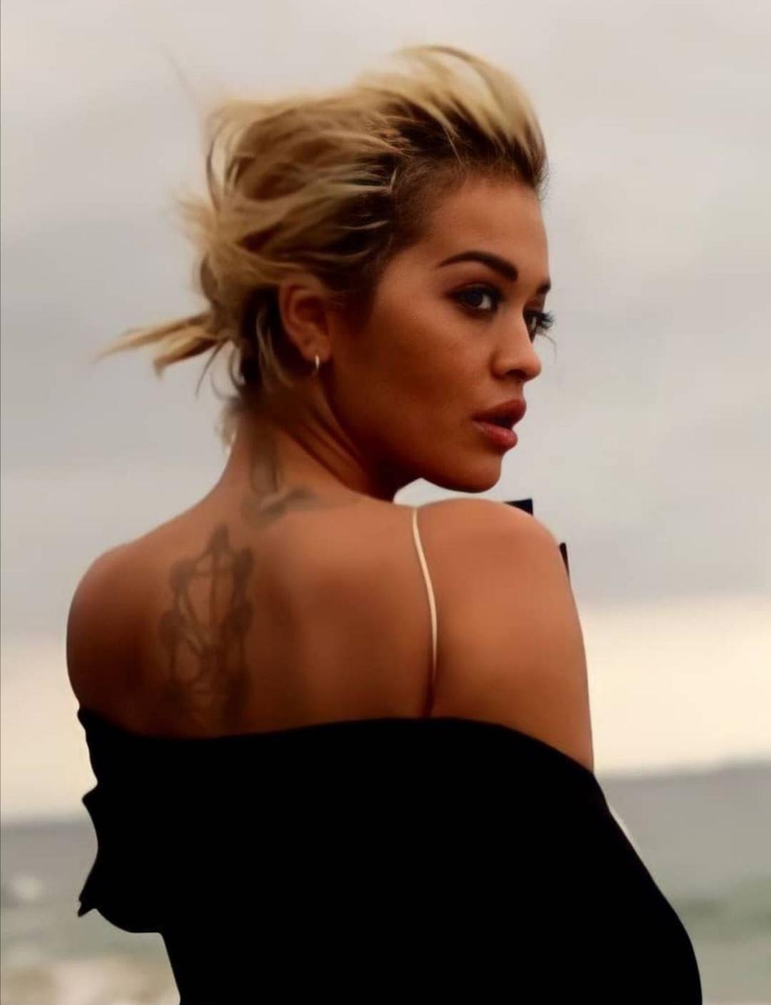 Windswept | Scrolller