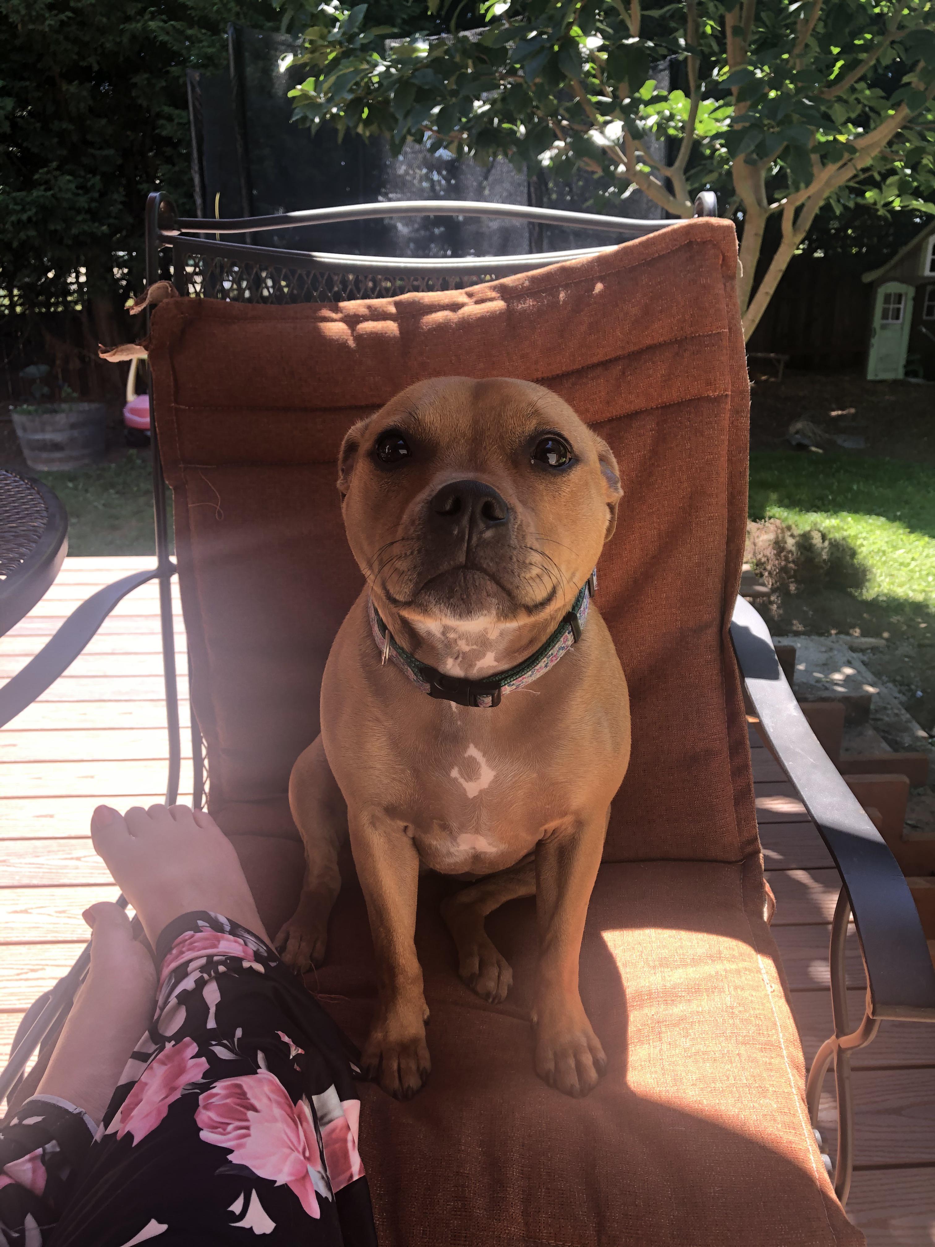 Winnie giving me those puppy dog eyes. | Scrolller