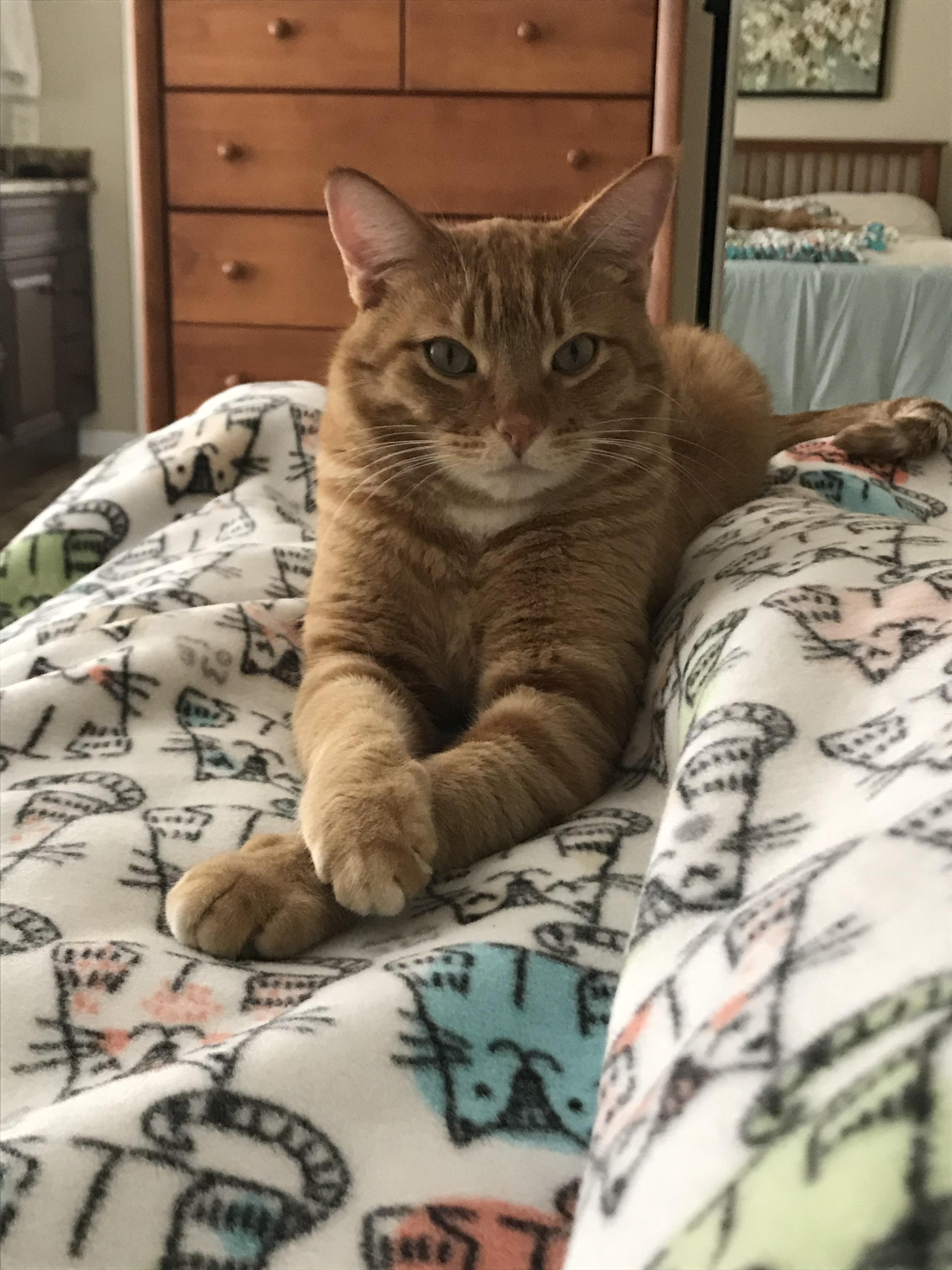 Winston is so dapper | Scrolller