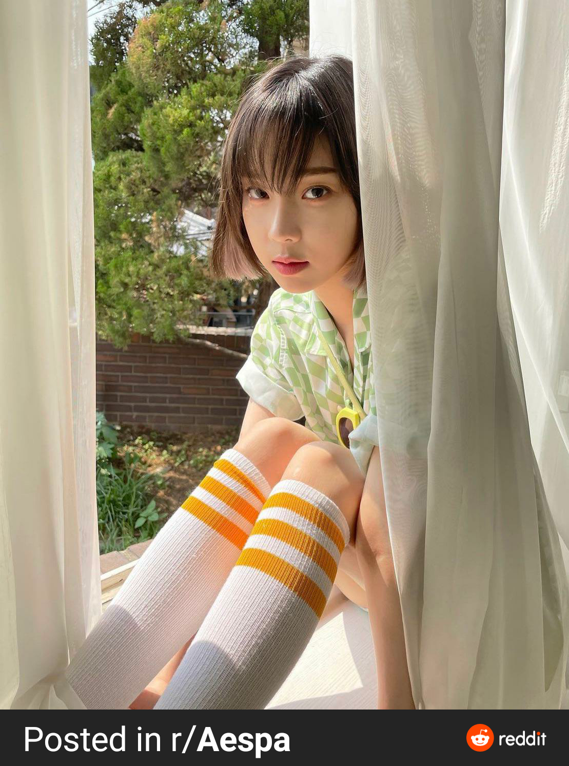 Winter 🌷 | Scrolller