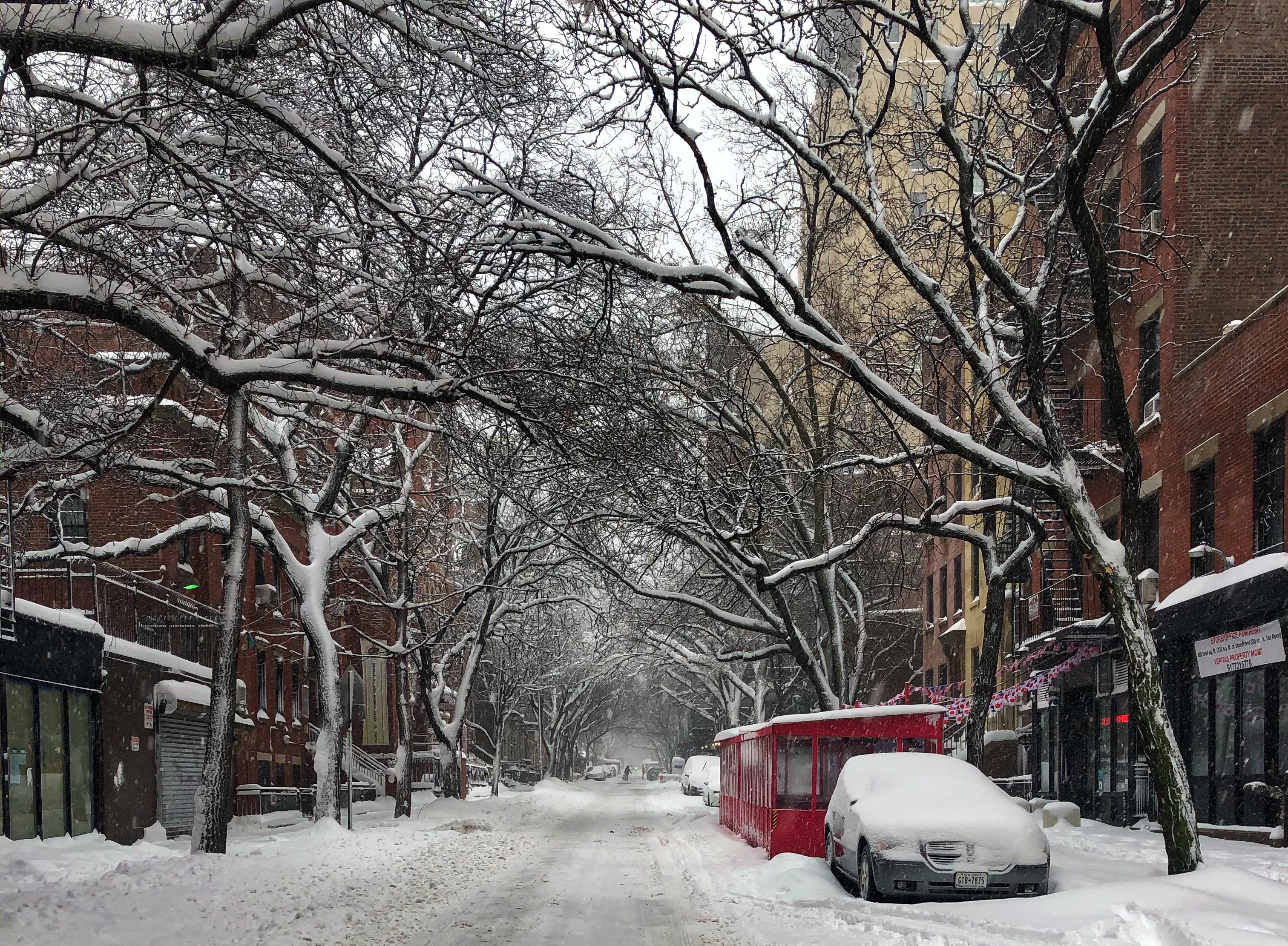 Winter Storm Orlena caused havoc across the USA, but it seemed pretty quiet in New York City ...