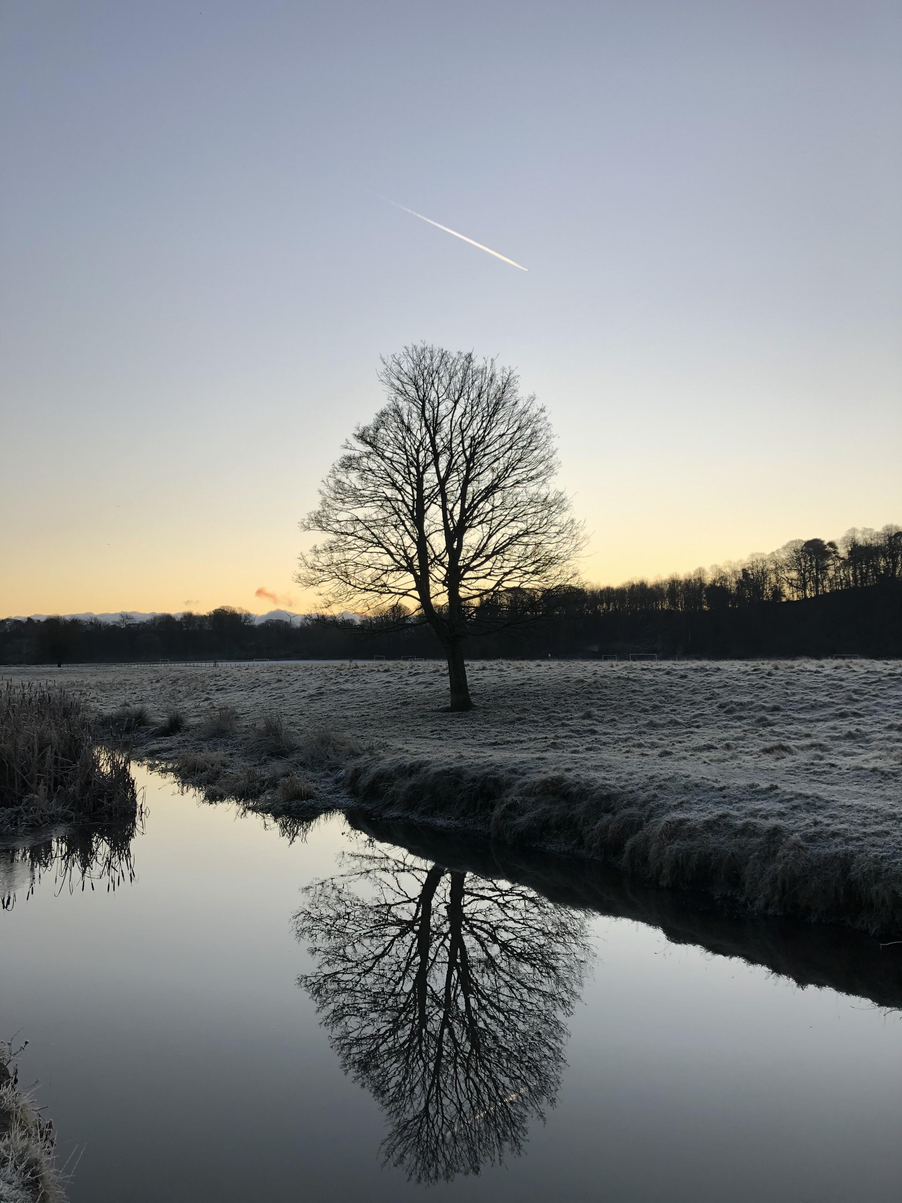Winter Tree reflected in the River Derwent. Aircraft above. | Scrolller