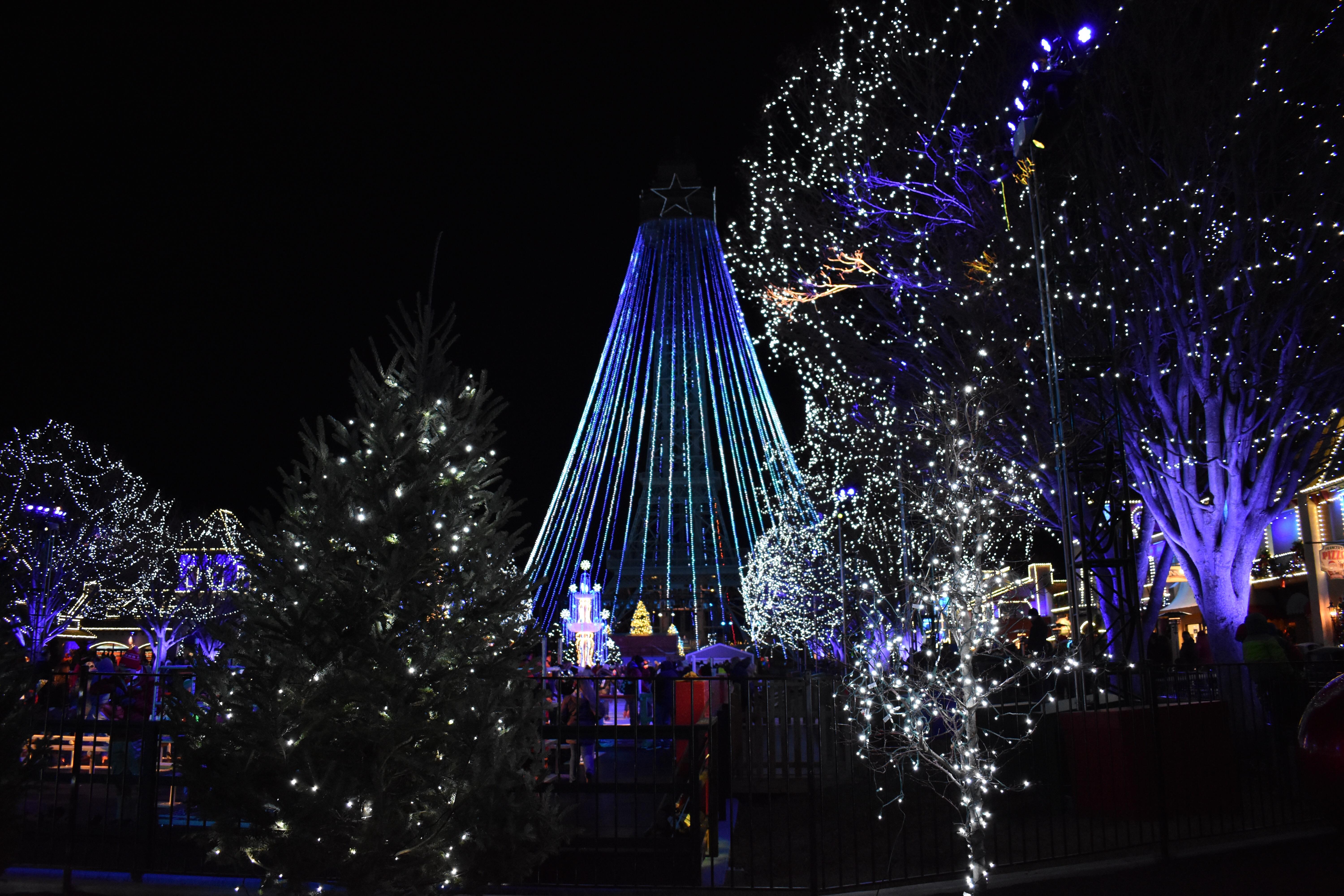 Winterfest was a truly unique and beautiful experience. | Scrolller