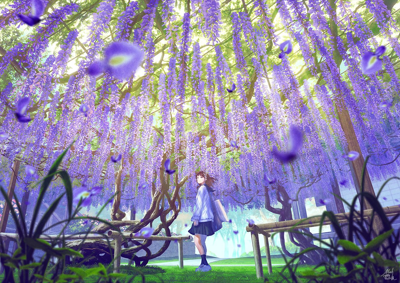 wisteria pile by mocha＠画集第2弾発売決定 | Scrolller