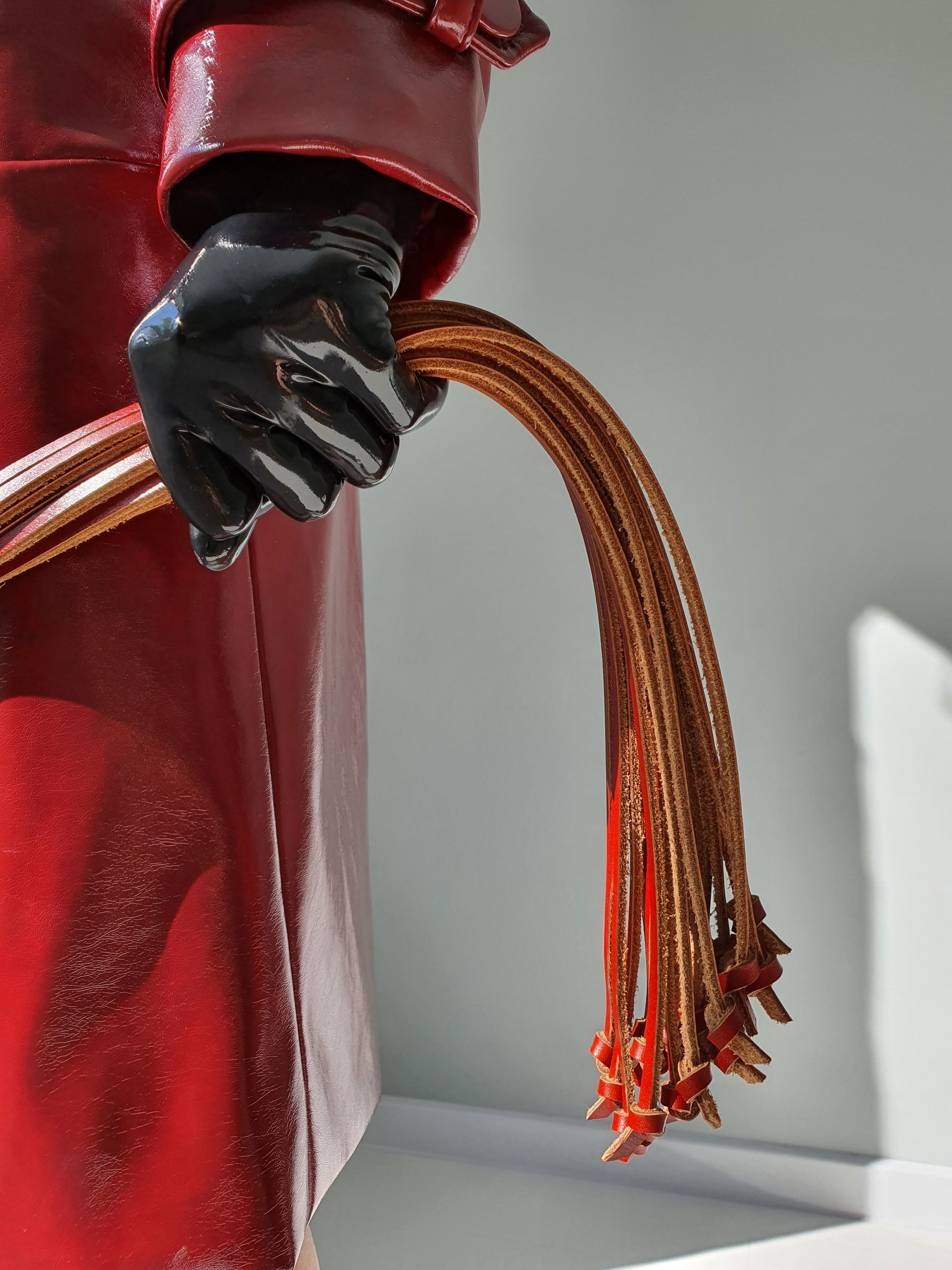 With whip | Scrolller