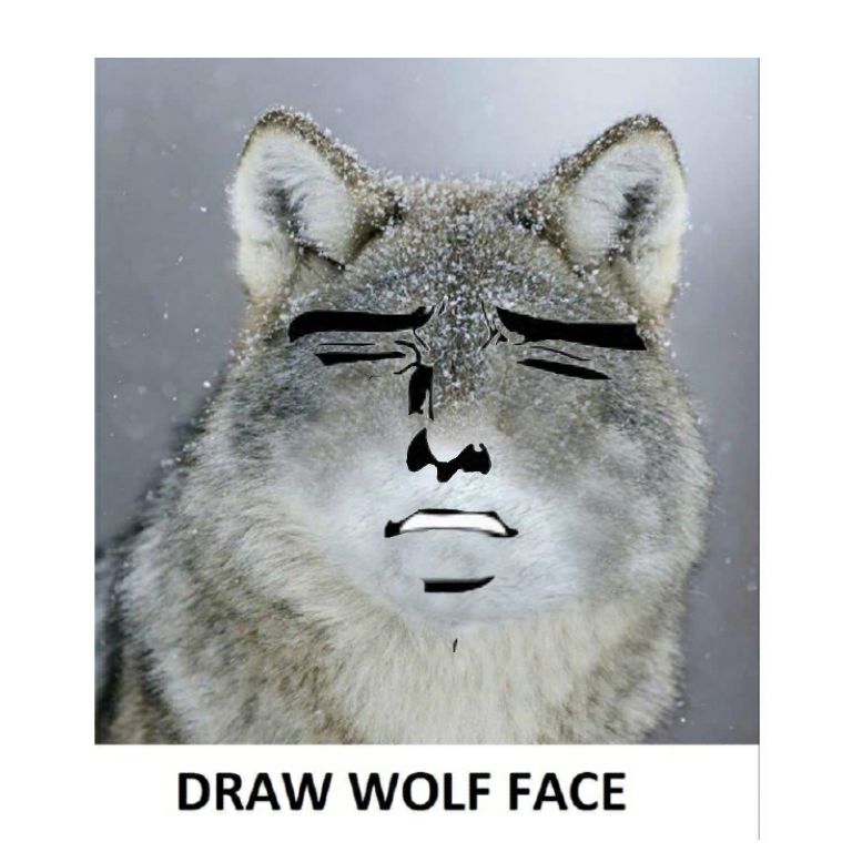 Wolf_irl | Scrolller