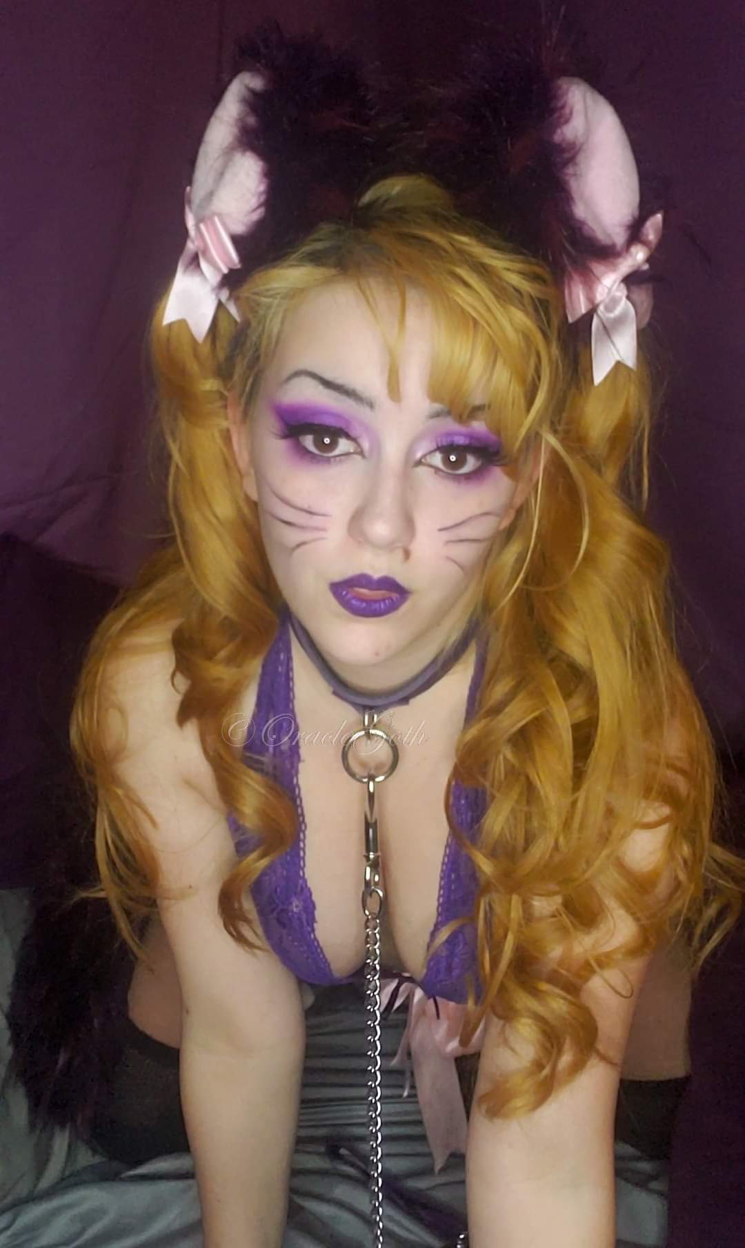 Would you like to take me on a walk? I already have my collar on 😺😻 | Scrolller