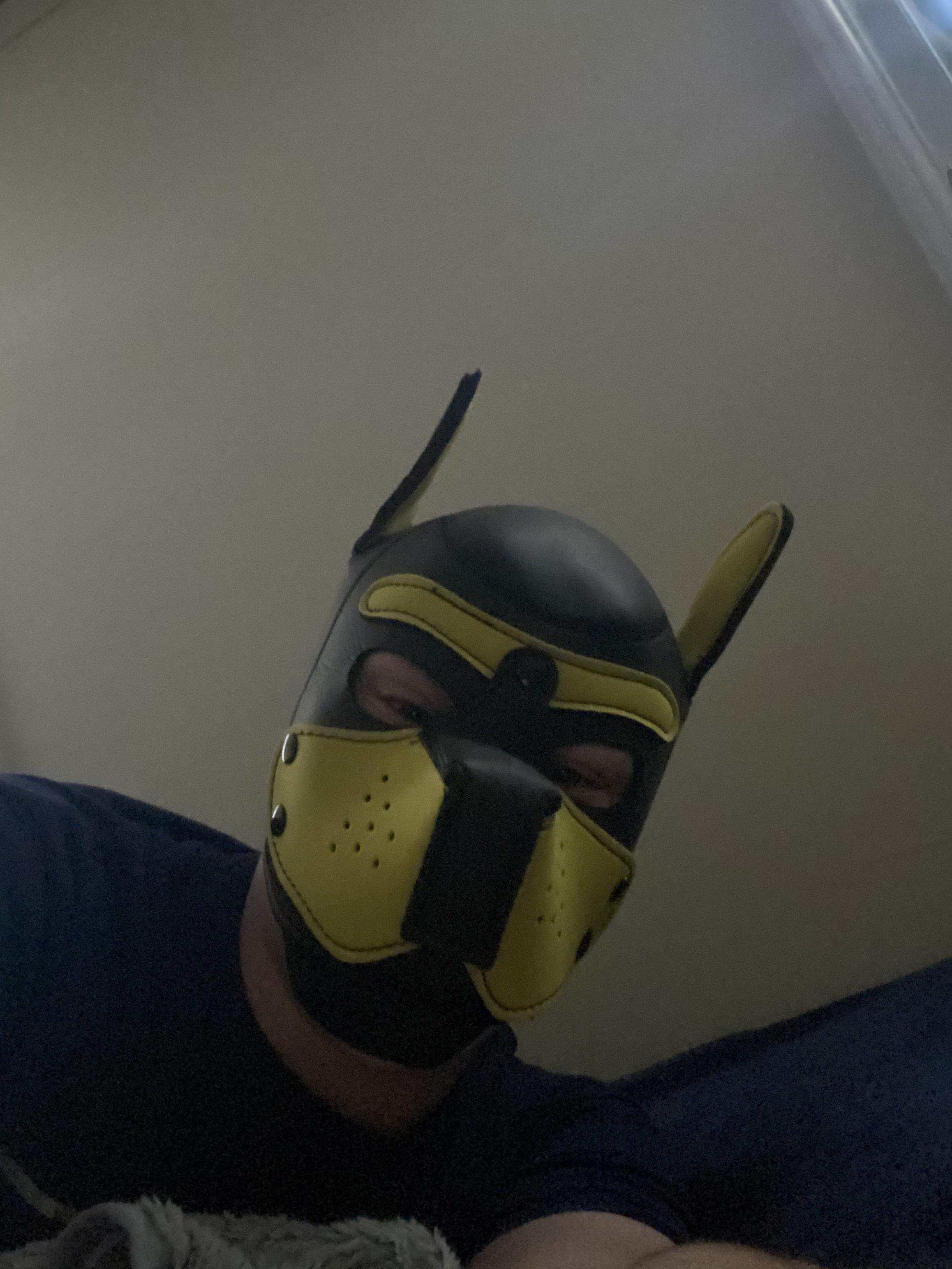 Woof! New pup here | Scrolller