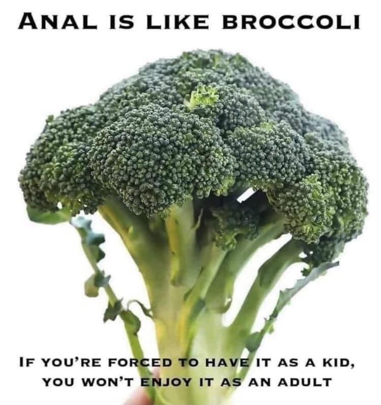 Words of the Wise | Scrolller