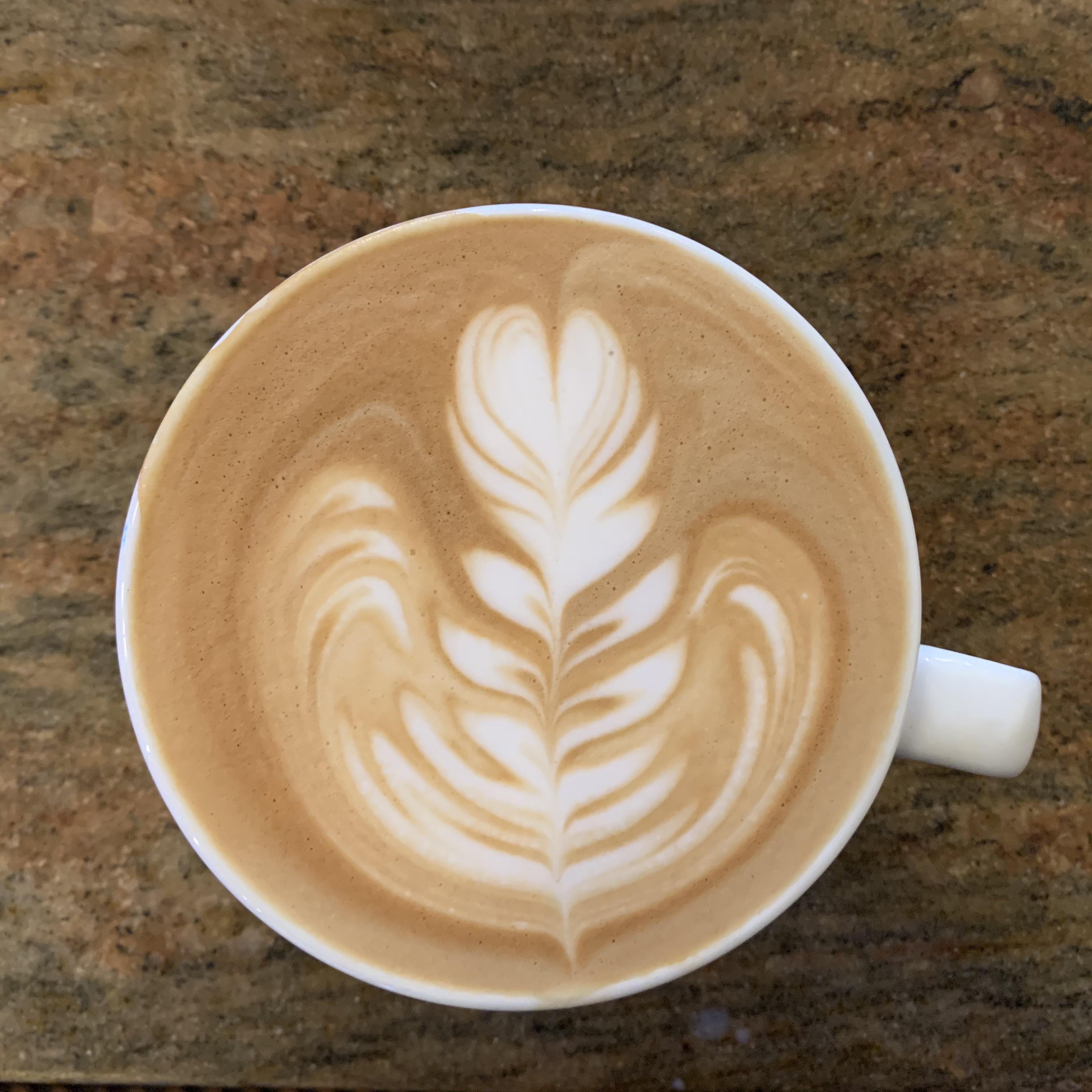 Working on Rosettas 🌿 | Scrolller