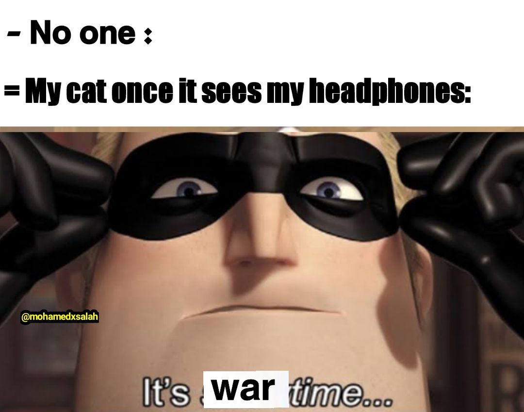 World champion in ruining my headphones | Scrolller