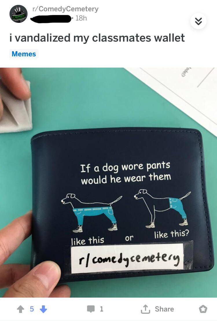 Wow, you’re so cool! | Scrolller