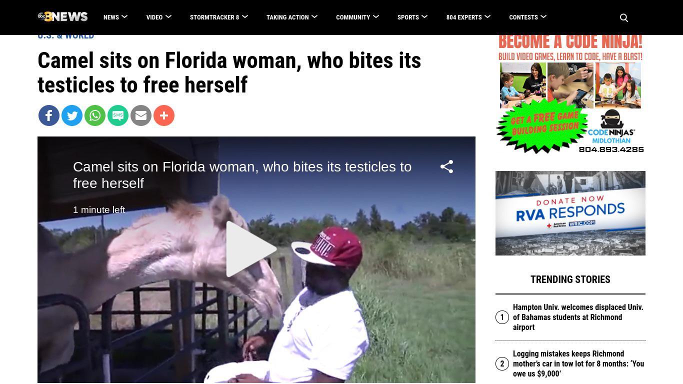 WTF Florida woman | Scrolller
