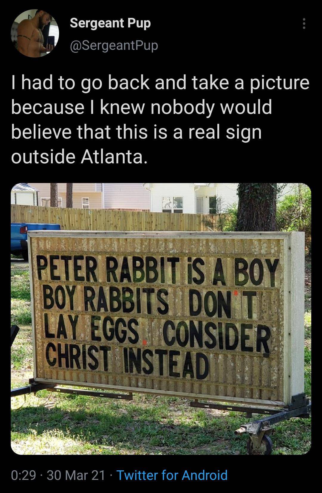 WTF is this | Scrolller