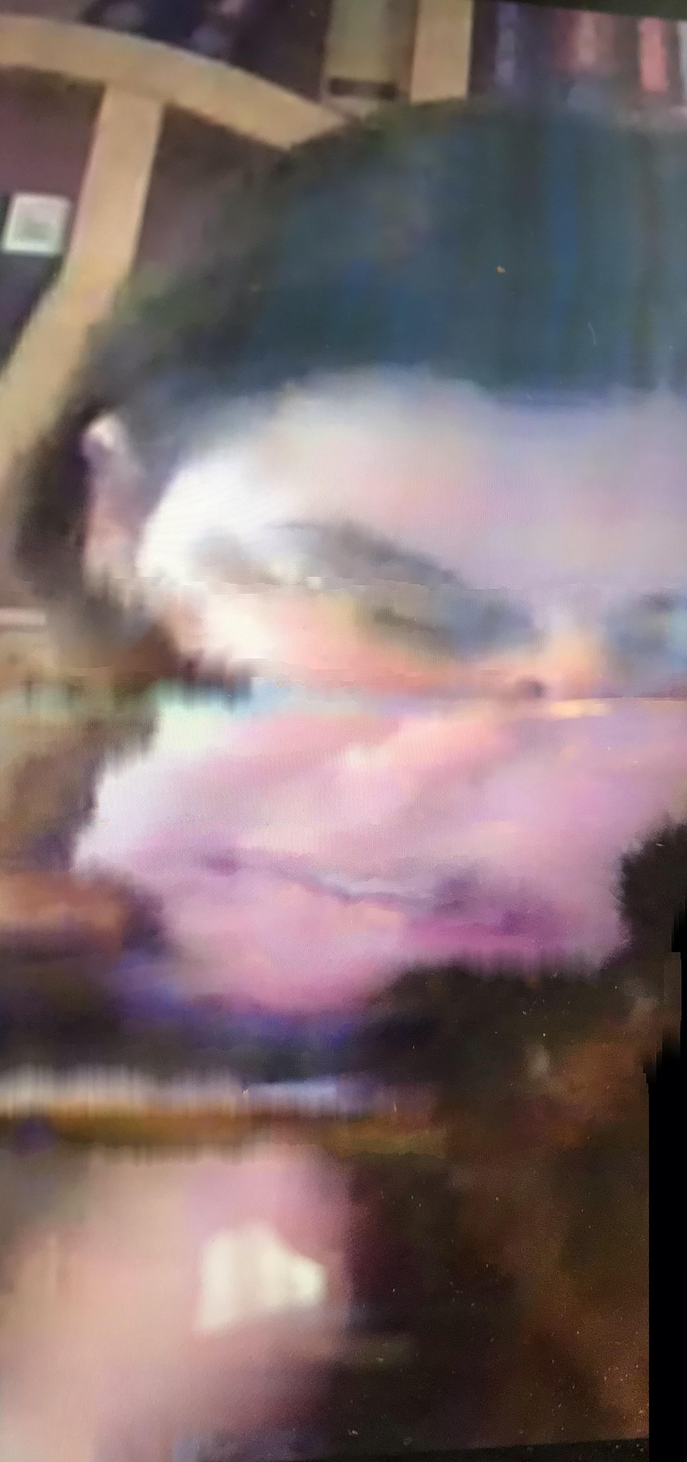 Wtf just happened | Scrolller