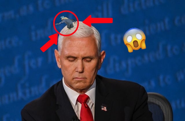 WTF??! LAURA AT THE DEBATE??? | Scrolller