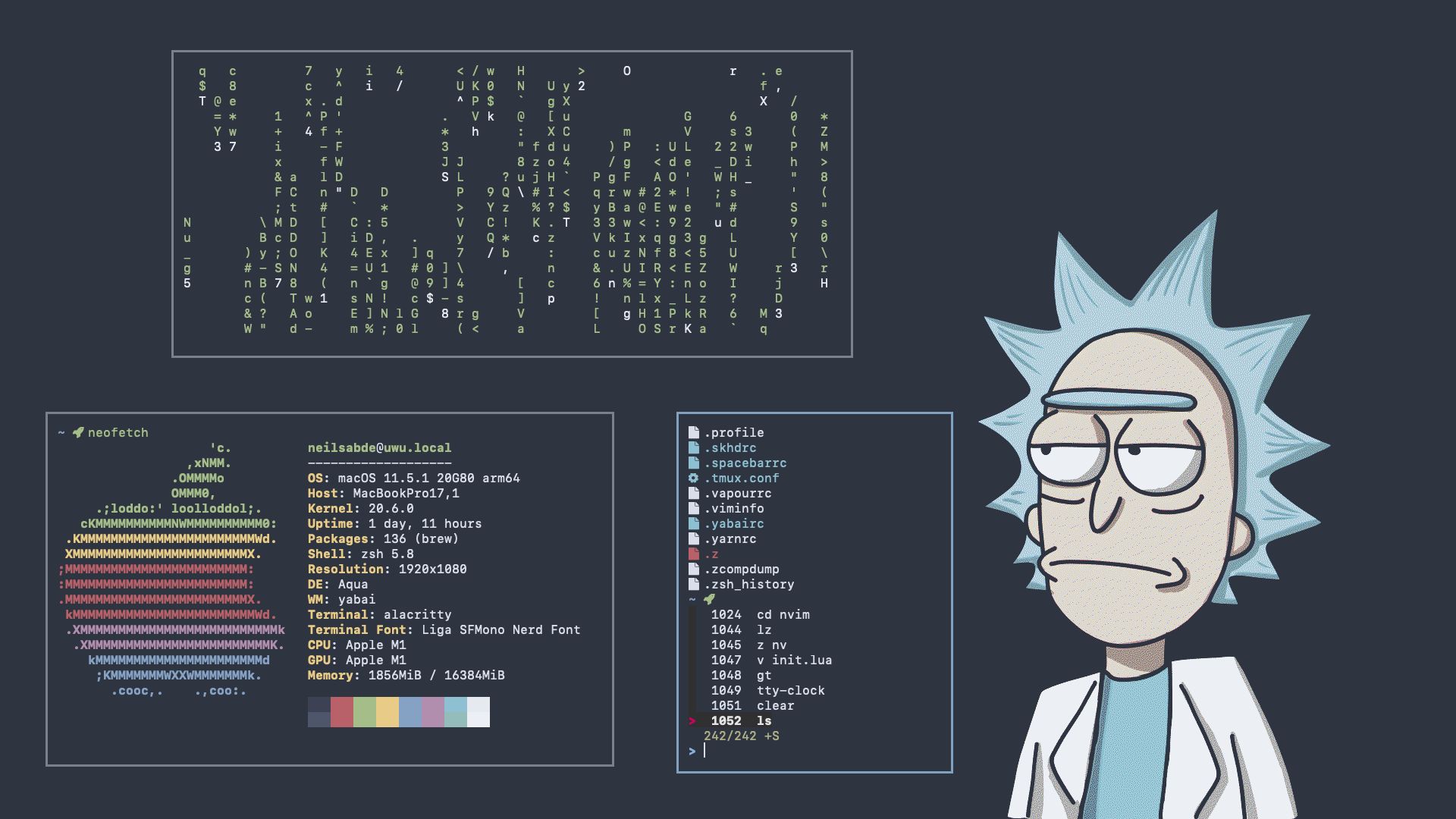 [yabai] Rick and Morty | Scrolller