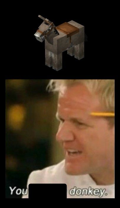 yeah, it's a donkey | Scrolller