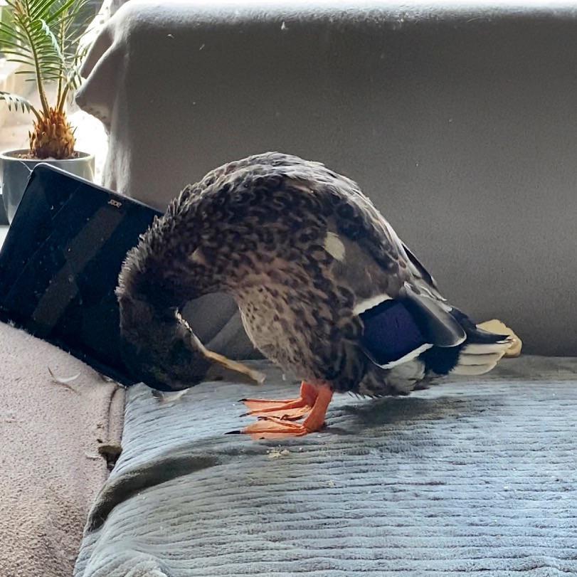 Yes Billy those are your feet | Scrolller