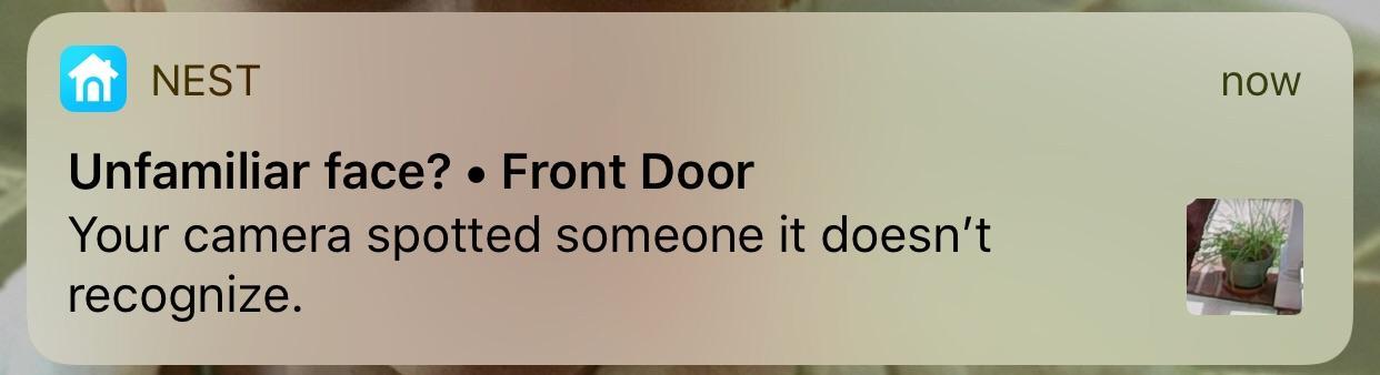 Yes, I do know Mr Daffodil | Scrolller