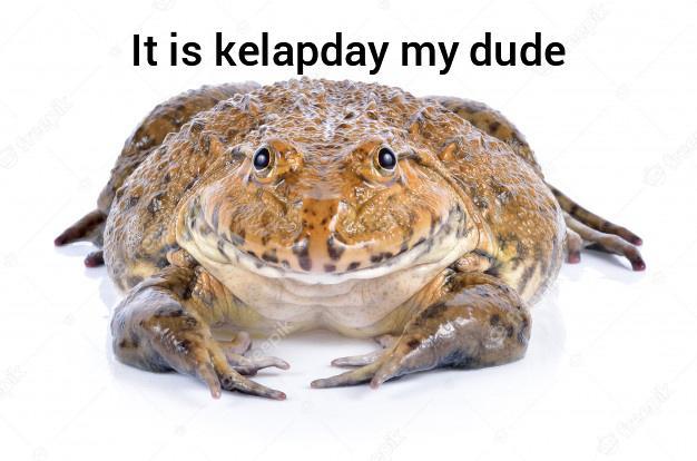 Yes my dude | Scrolller