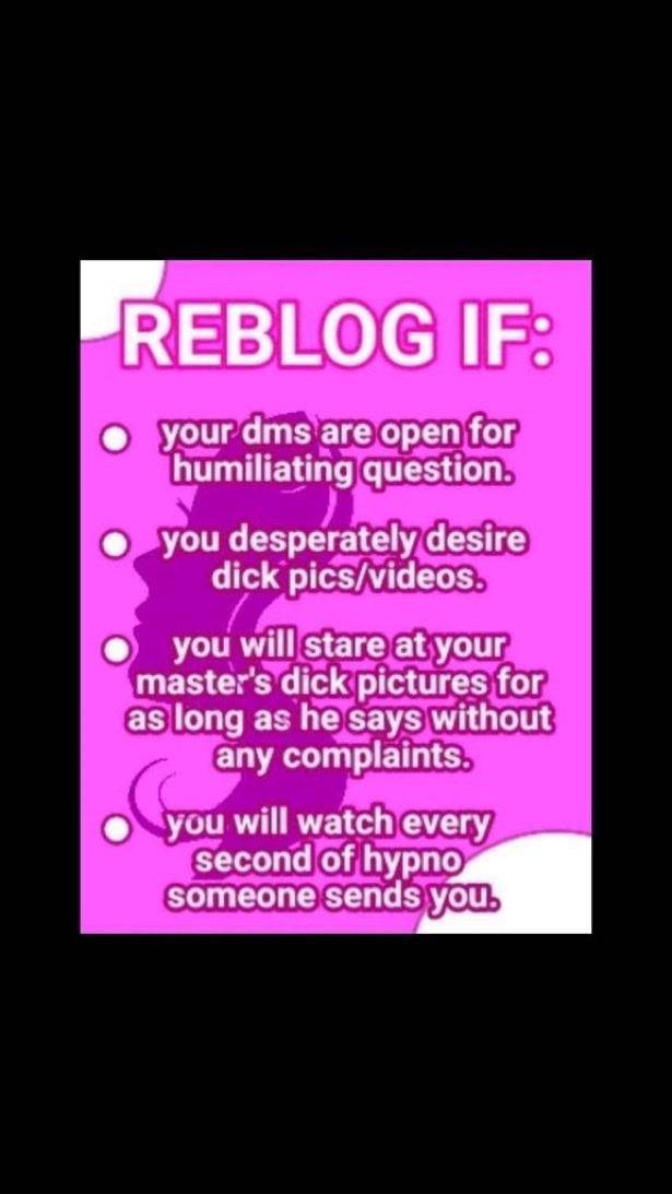 Yes please | Scrolller