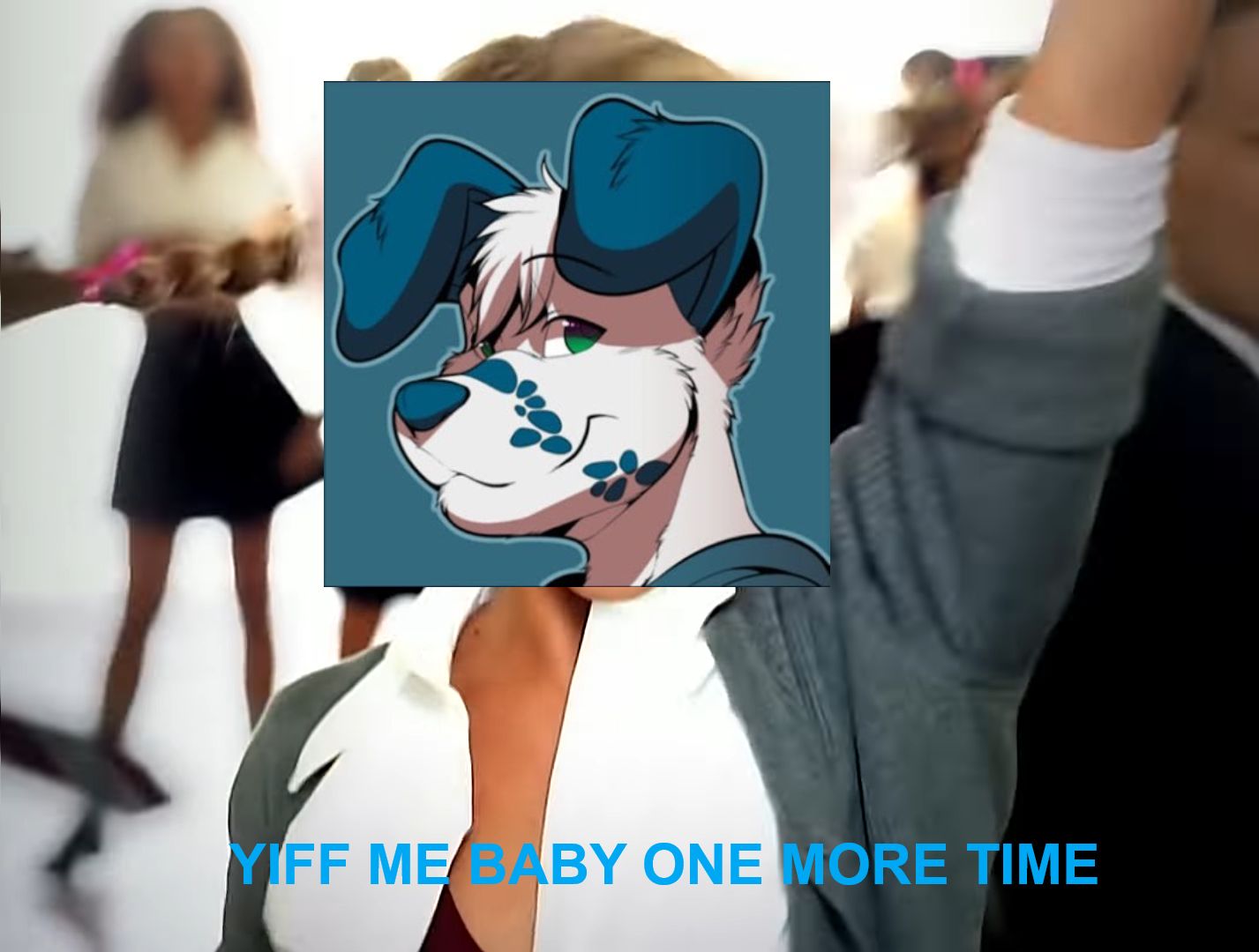 Yiff_IRL | Scrolller