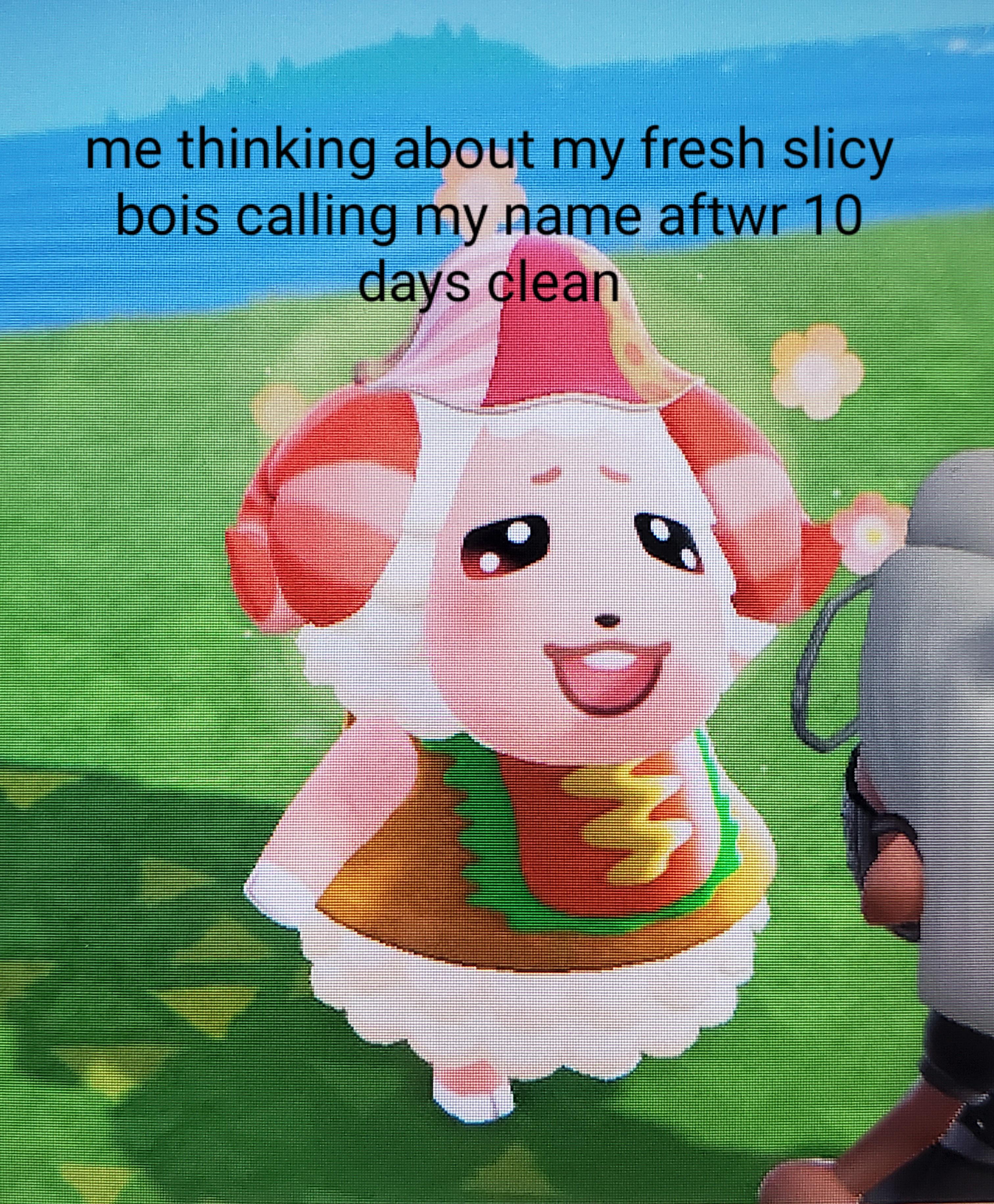 Yip yip dom moved back to my island | Scrolller