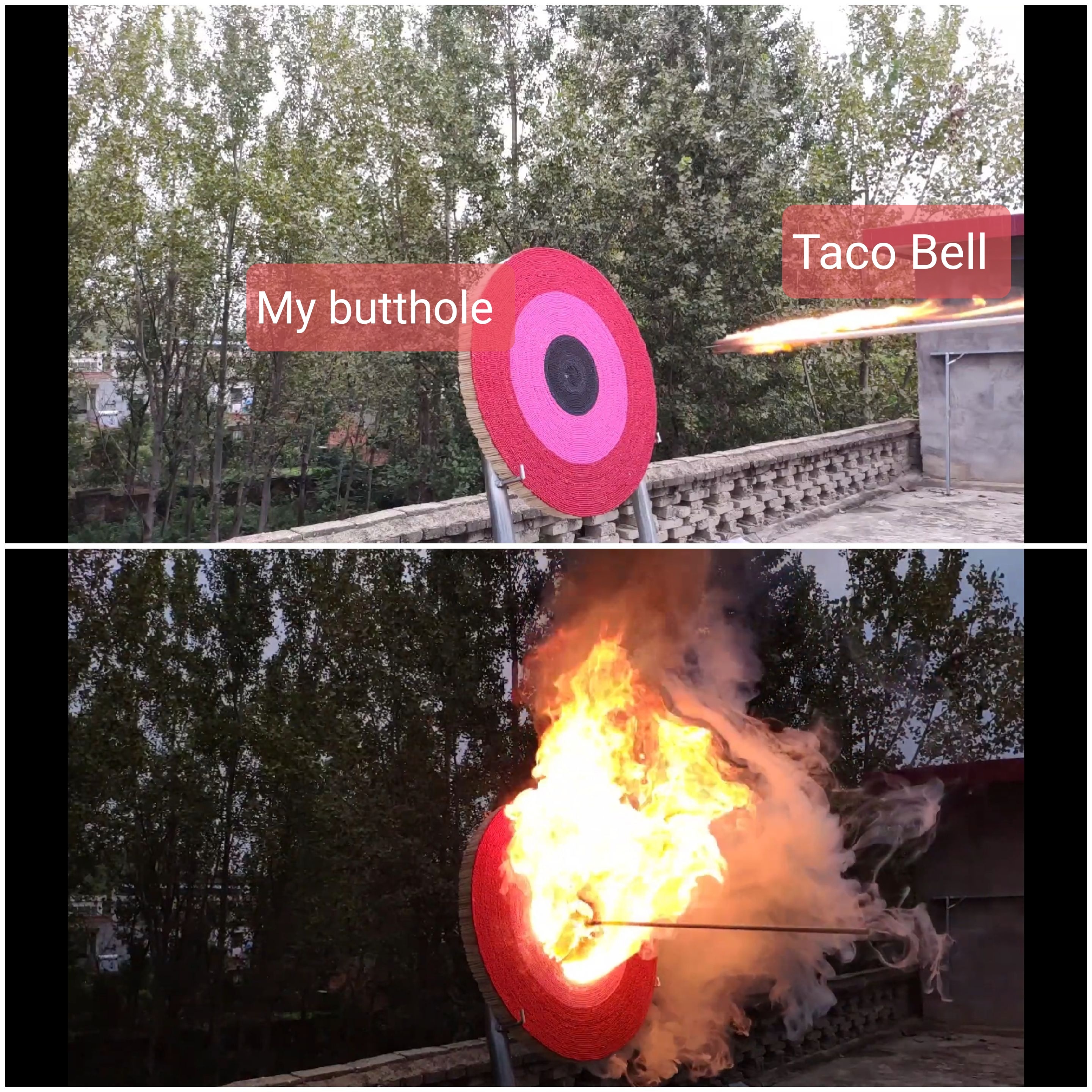 ¡Yo Quiero Taco Bell! | Scrolller