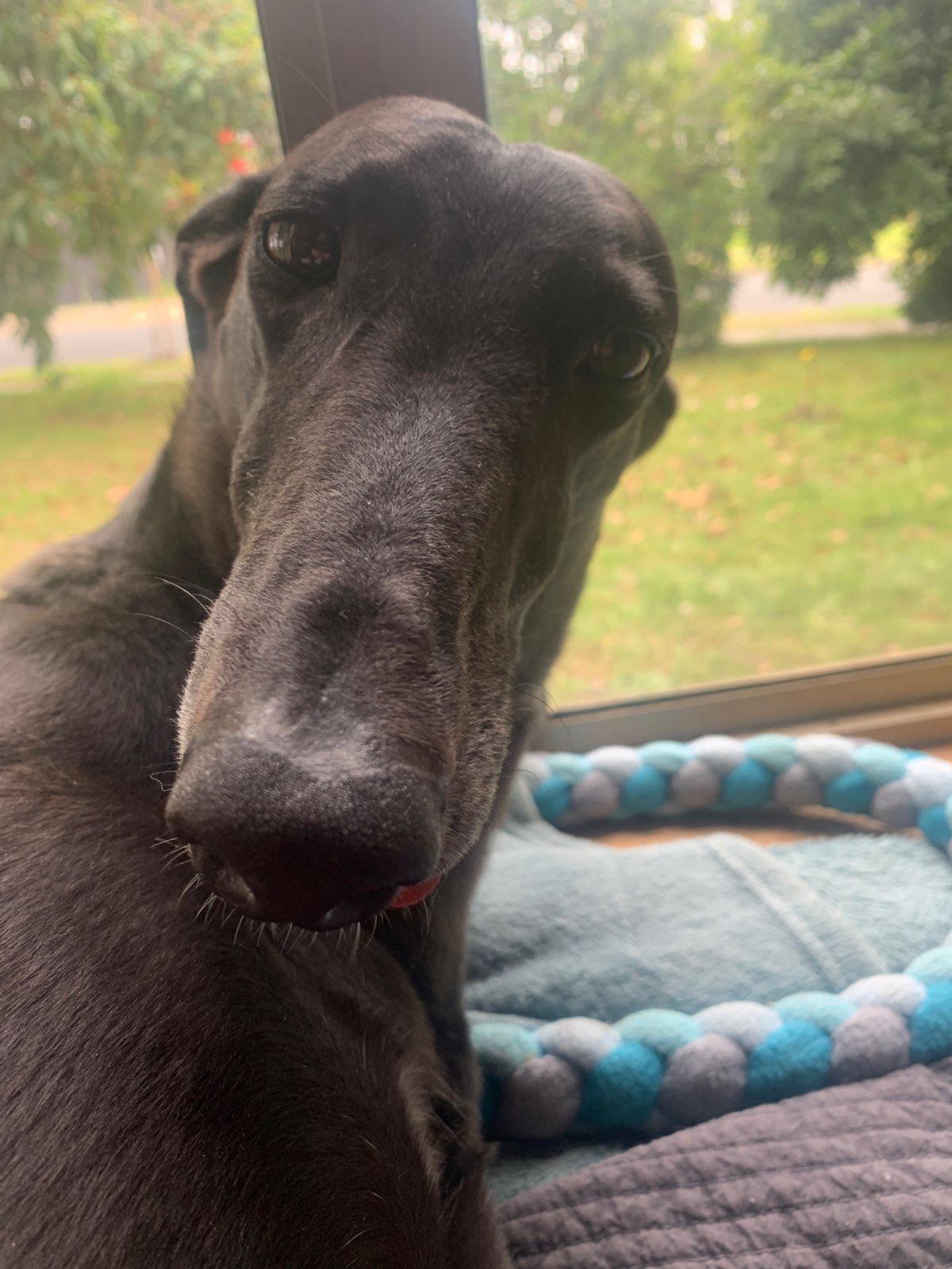 You called me | Scrolller